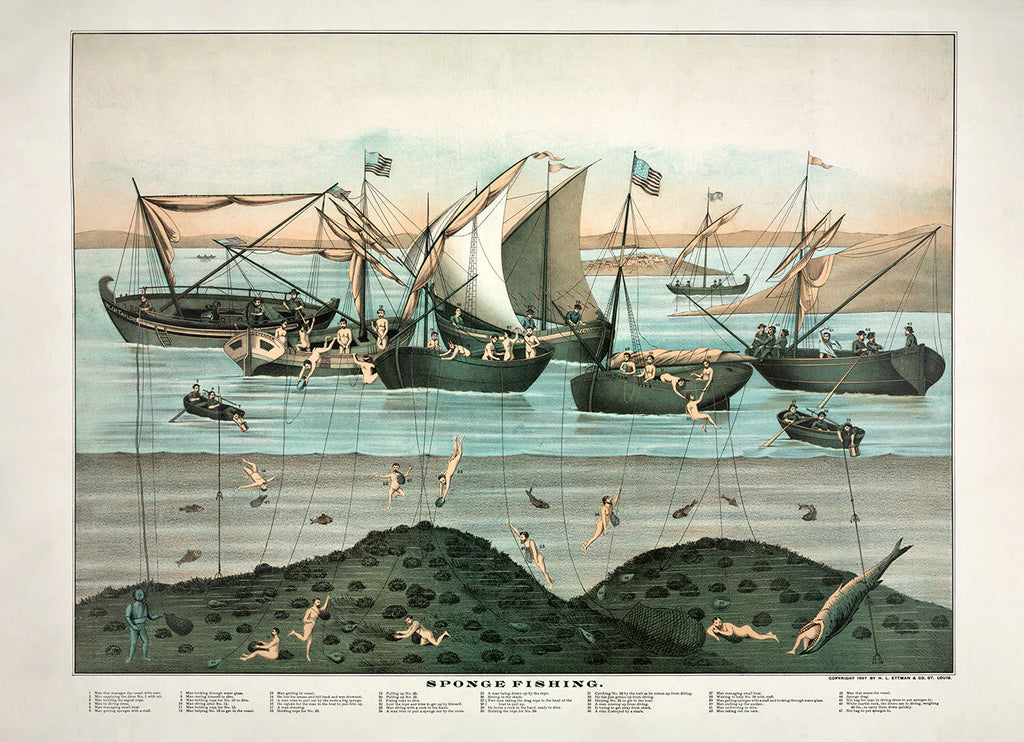 Sponge Fishing – Balthazar Interiør