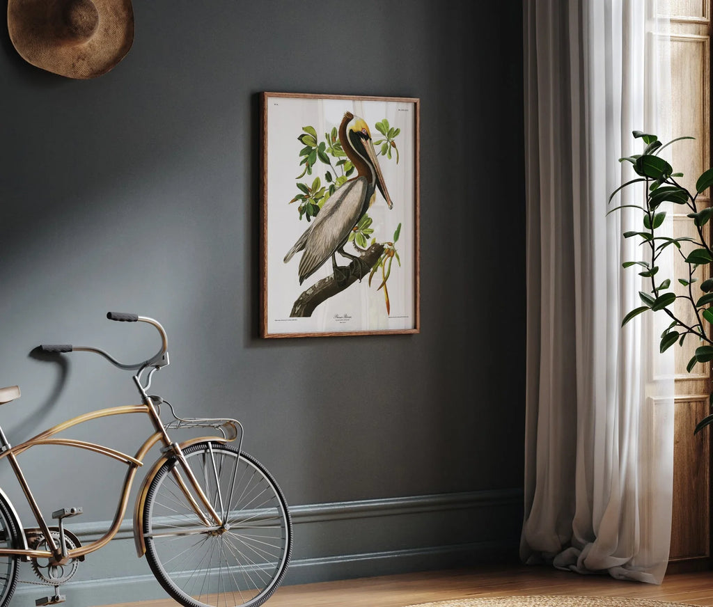 Brown Pelican – Balthazar Interiør