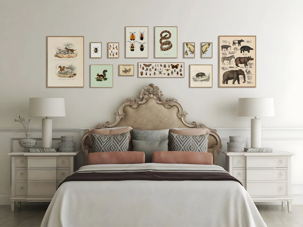 Le Dogue – Balthazar Interiør